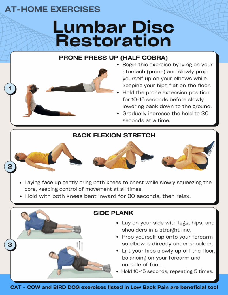 At Home Exercises: Lumbar Disc Restoration - Circle Chiropractic