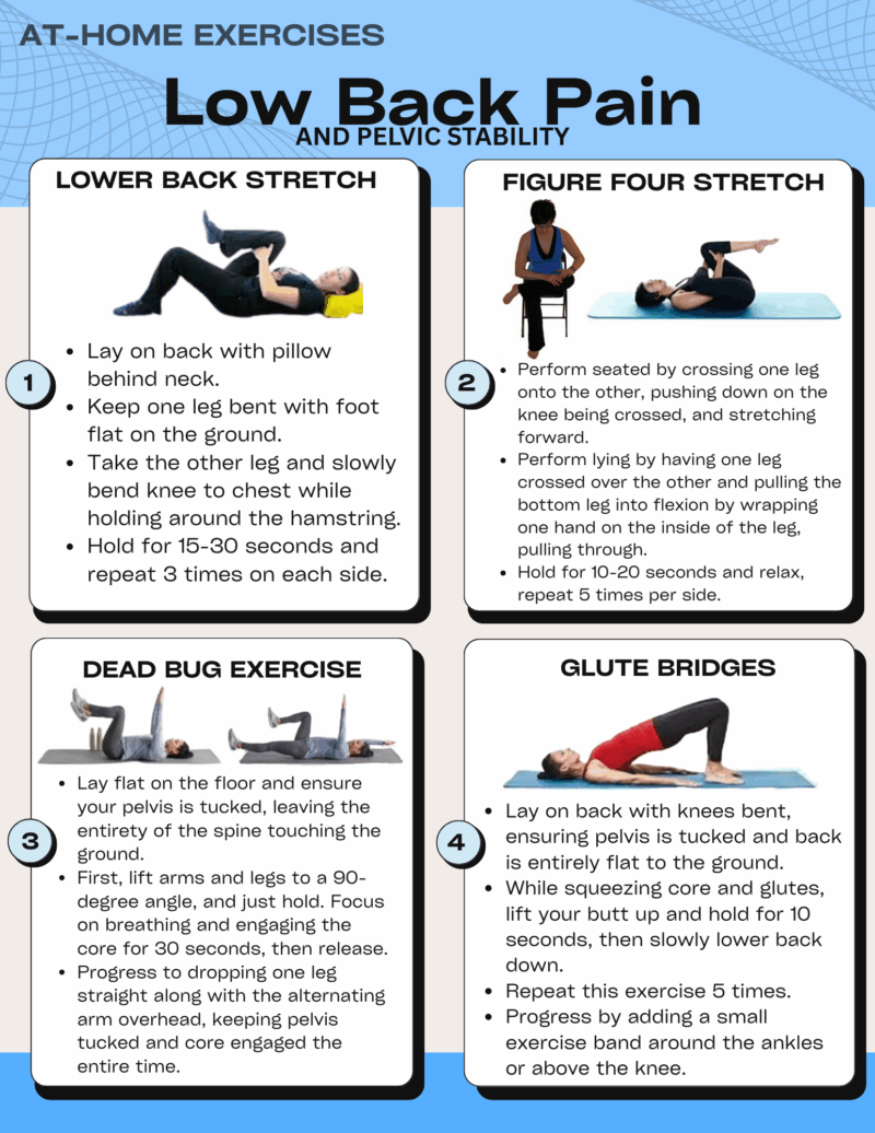 At Home Exercises: Low Back Pain Relief - Circle Chiropractic